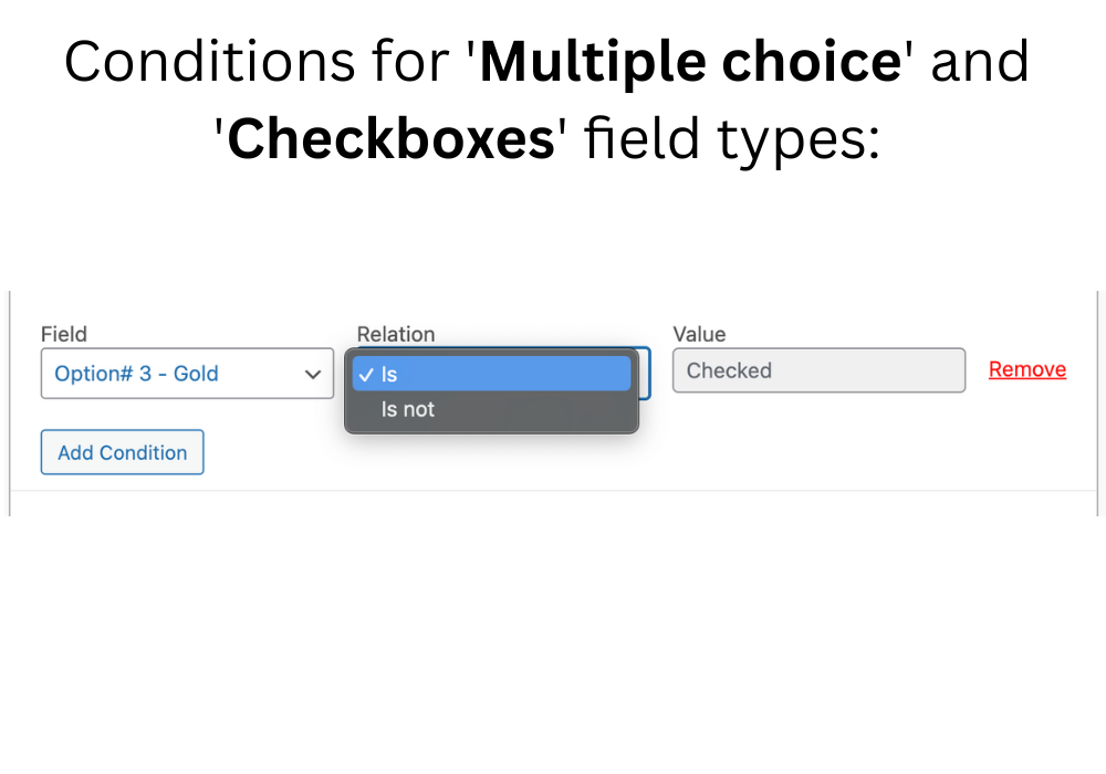 Conditional Logic For Woo Product Add Ons Wordpress Plugin