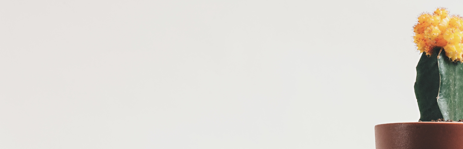 Plugin Disable Login Language Switcher — WordPress.com Plugin Disable Login Language Switcher — WordPress.com