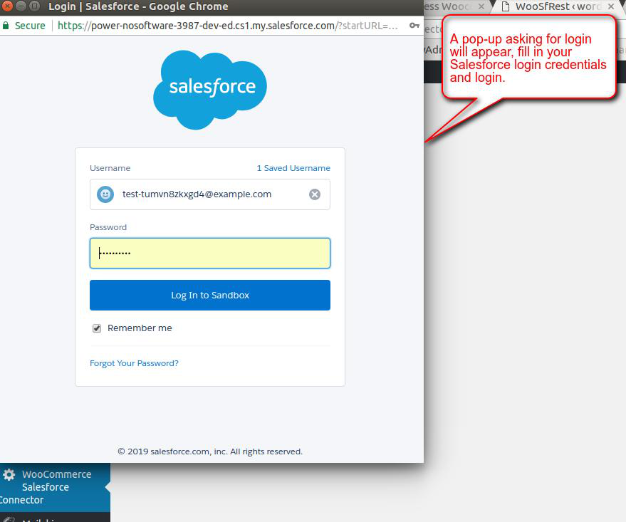 Wordpress WooCommerce Salesforce Connector – WordPress plugin ... Wordpress WooCommerce Salesforce Connector – WordPress plugin ...